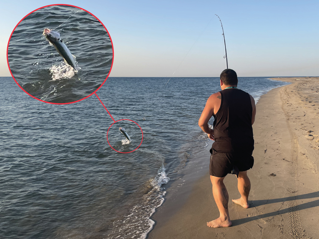 Pêche au vif du bord en téléphérique avec Marc Puig - Normandie Appâts